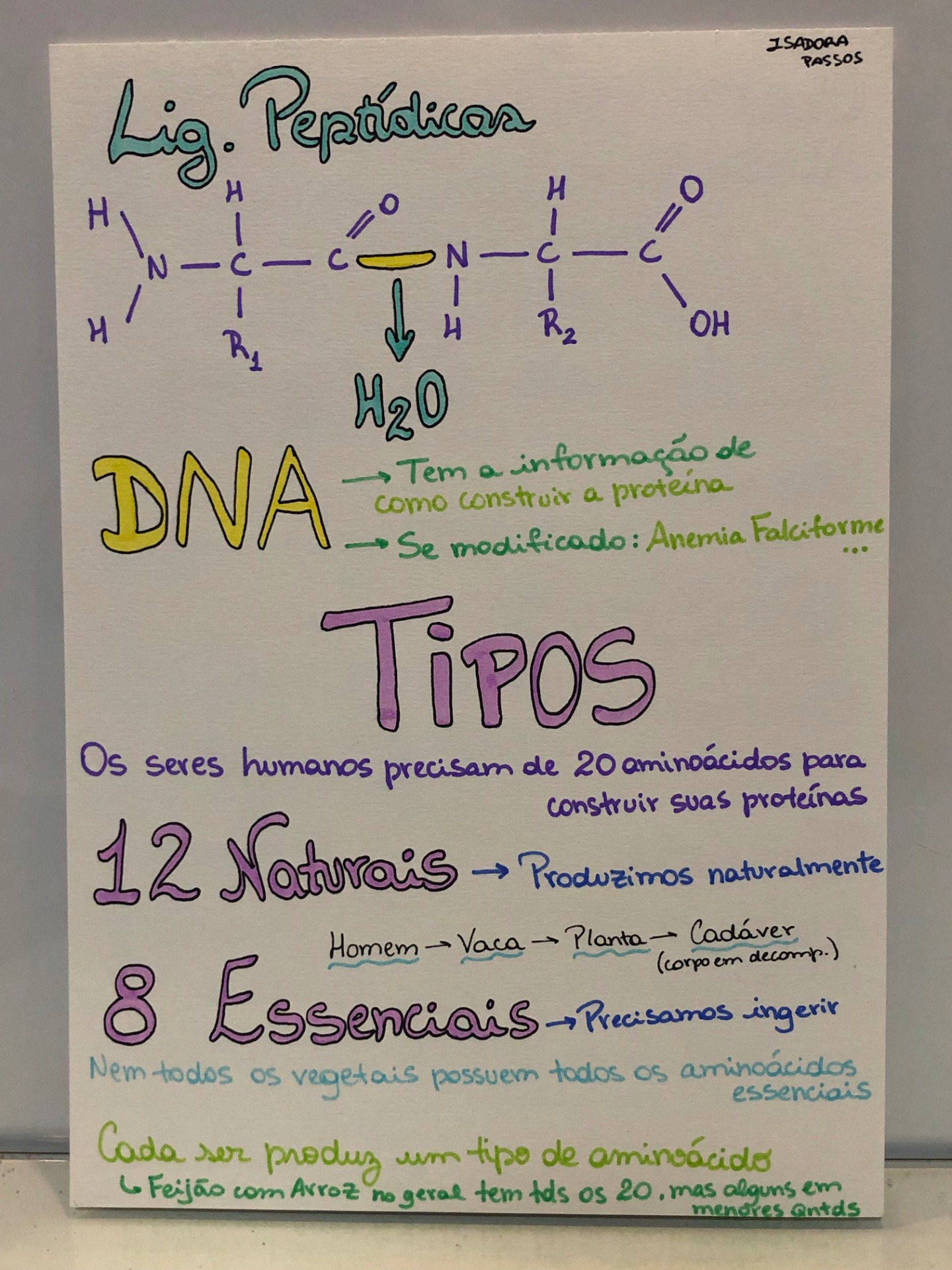 Resumo de Proteínas :: Biologia - MAIS