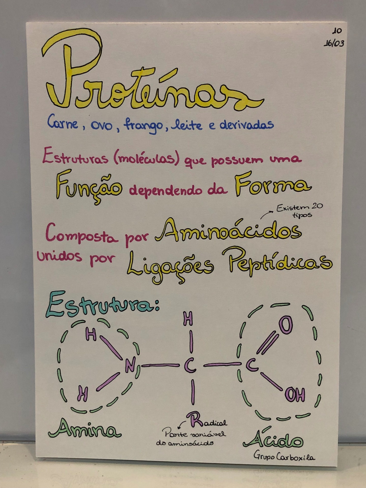 Resumo de Proteínas :: Biologia - MAIS
