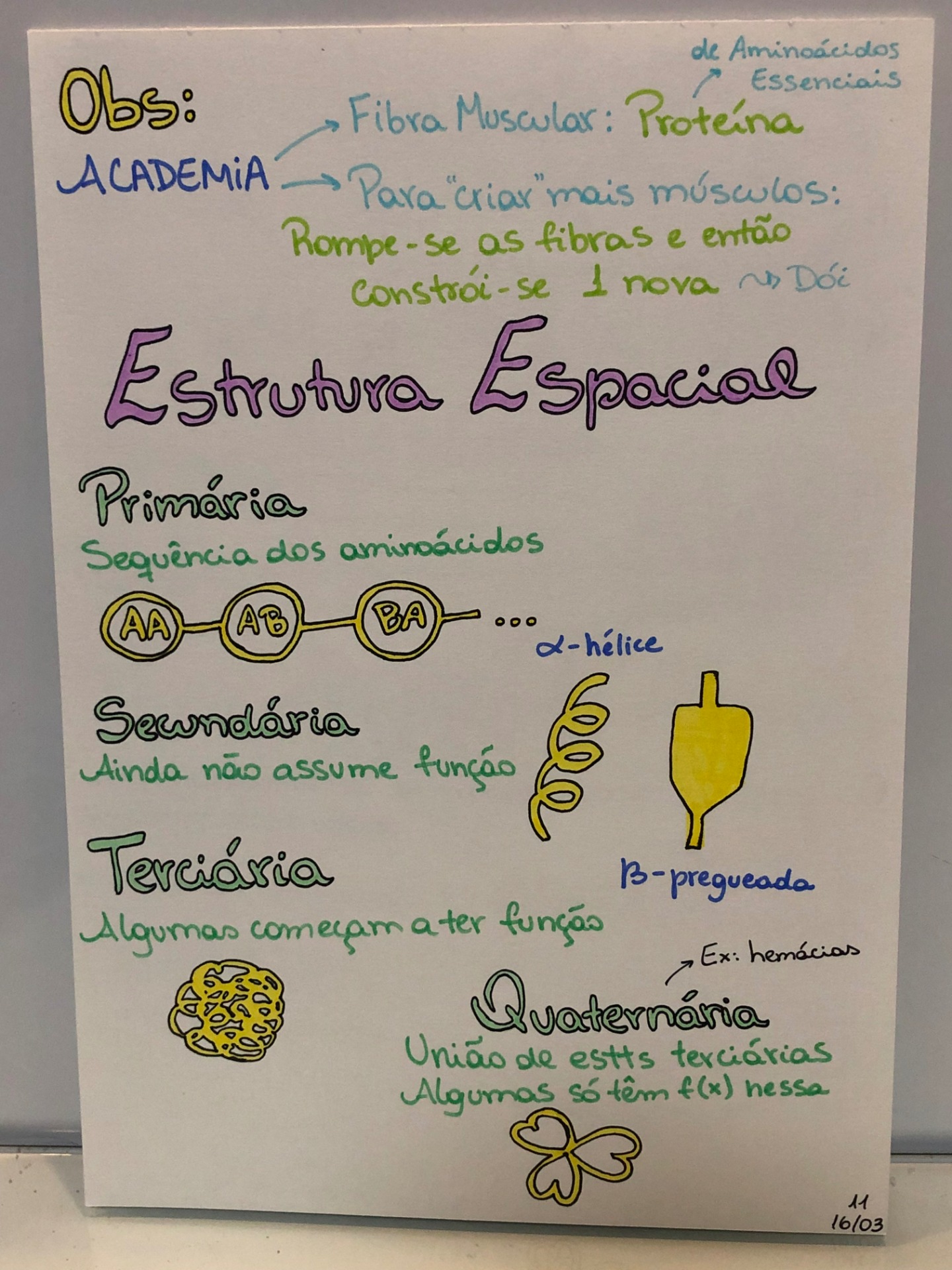 Resumo de Proteínas :: Biologia - MAIS